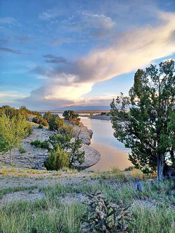 Lake Pueblo State Park offers the kind of serene water views that make you forget you're paying $875 rent instead of $2,500.
