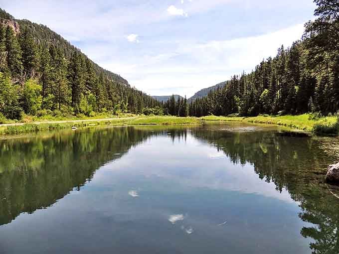 This tranquil pond reflects the sky so perfectly you might forget which way is up. Nature's mirror doesn't need Instagram filters.