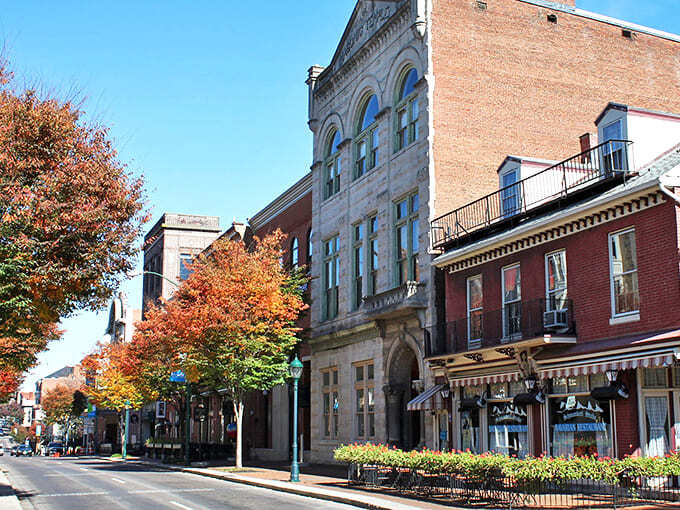 Fall foliage frames South Potomac Street's historic buildings, creating that perfect autumn moment when you realize sweater weather was made for small-town strolls.