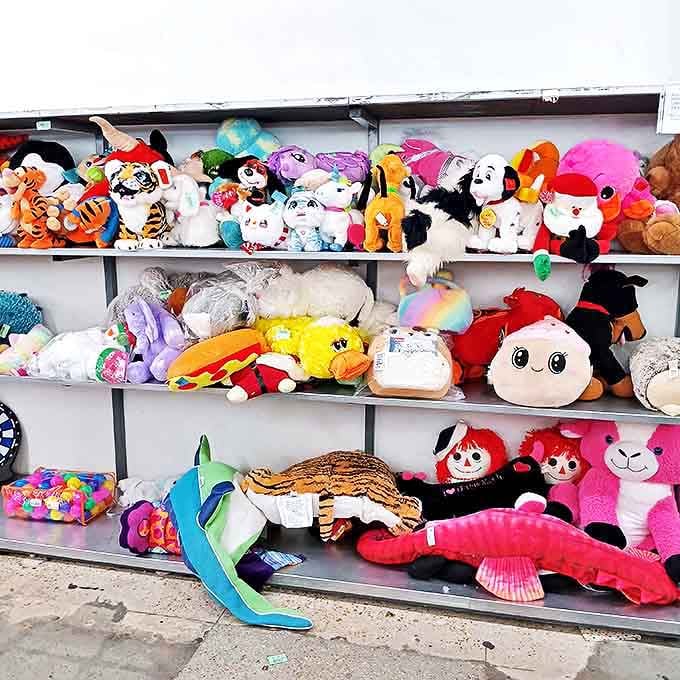 The stuffed animal section resembles a colorful zoo where plush creatures wait patiently for a child's loving arms to give them a second life.