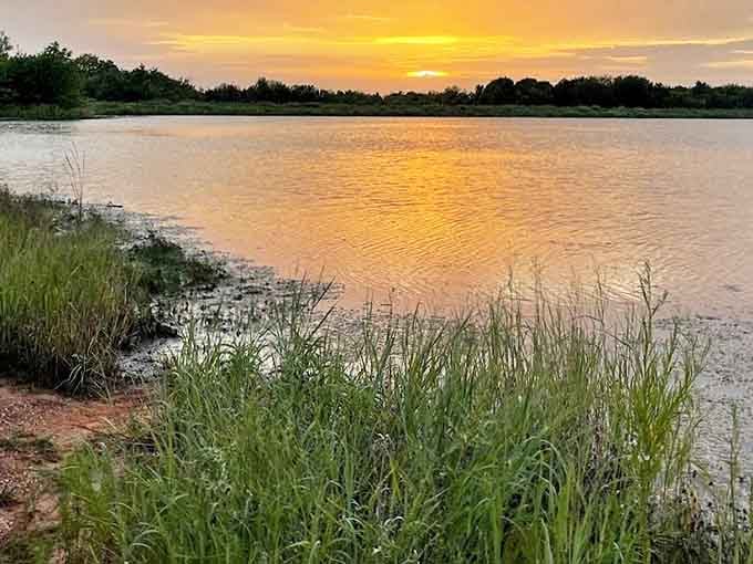 Sutton Wilderness Park delivers tranquility just minutes from downtown. Those trees have witnessed generations of Norman residents finding their moment of peace.