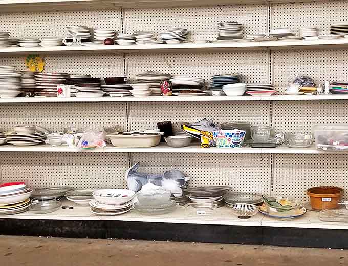 Dish-covery zone! Mismatched plates with matching potential&mdash;perfect for those who believe dining should be as eclectic as life itself.