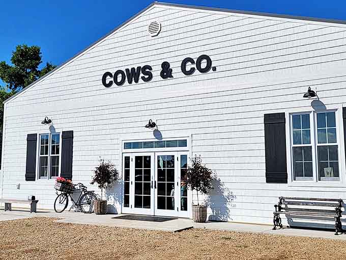 Cows & Co. Creamery's modern farmhouse aesthetic proves that Carrington balances tradition with trends, serving up contemporary style with a side of prairie practicality.