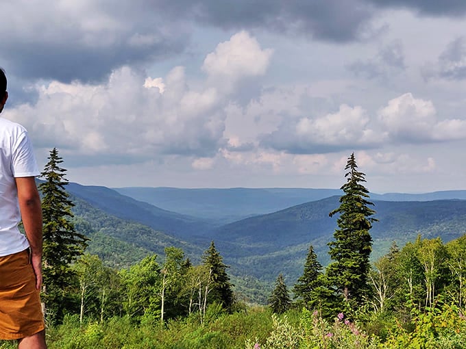 The kind of view that makes you forget about your inbox for a moment&mdash;Williams River Valley unfolds like nature's ultimate screensaver.