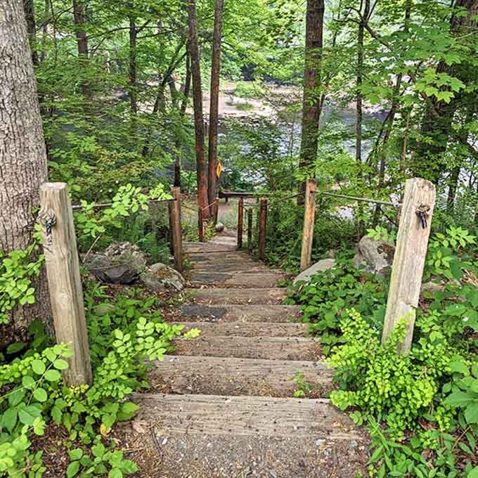These wooden steps lead down to the river like nature's own grand staircase. The ferns standing guard are the understated velvet ropes.
