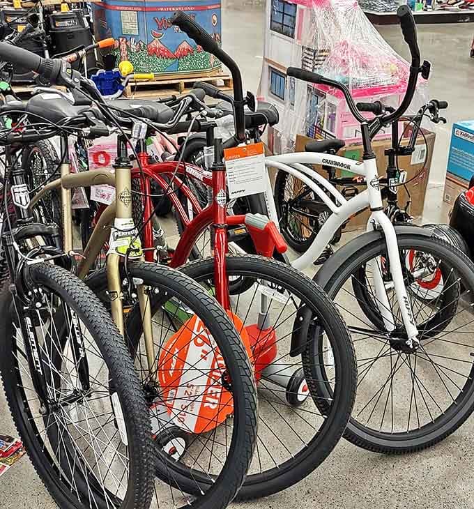 Bicycles lined up like eager puppies waiting for adoption, each one promising adventures that cost less than you'd expect for two-wheeled freedom.