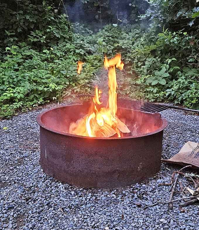Evening campfires create the perfect backdrop for ghost stories, s'mores, and conversations that somehow feel more meaningful under starry skies.