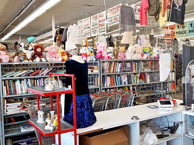 Where stuffed animals and paperbacks create the most unexpected literary salon. That rare book you've been hunting might be sandwiched between forgotten bestsellers.