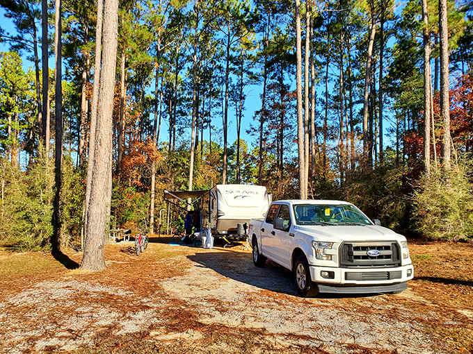 Camping among the pines &ndash; where "roughing it" includes spacious sites, tall trees, and just enough wilderness to feel adventurous without sacrificing comfort.