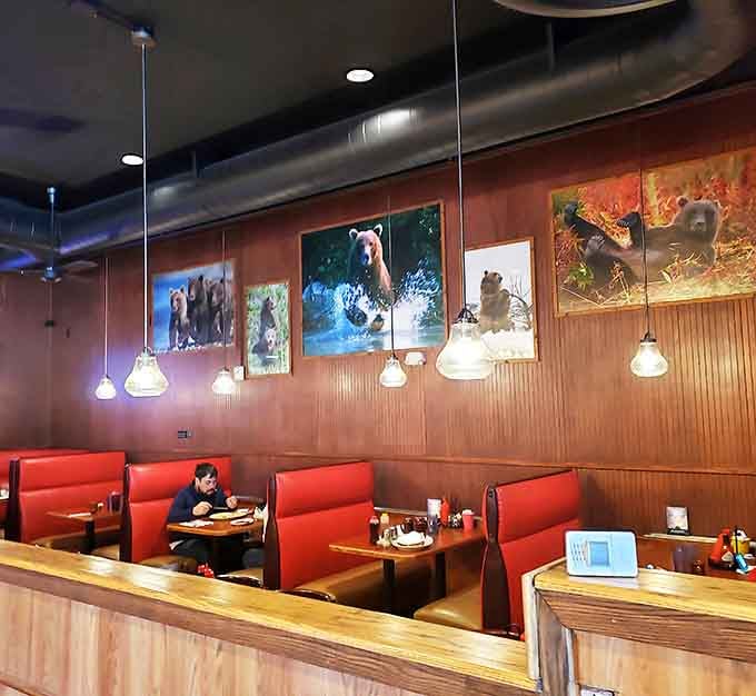 Wildlife on the walls, comfort on the plates. The bear photos remind you exactly where in the world you're dining.