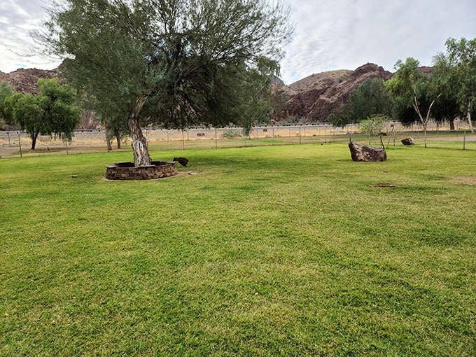 A patch of green defies the desert, creating an oasis for relaxation. These grassy areas offer respite from the rocky terrain.