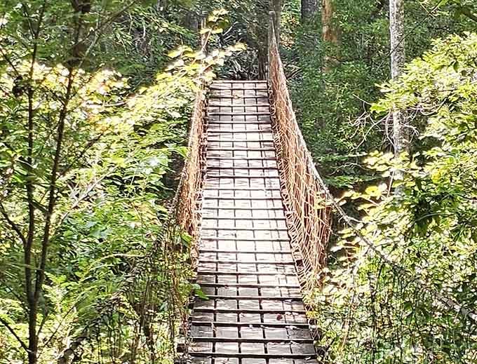 This suspension bridge isn't just a crossing—it's the perfect metaphor for leaving your worries on one side and finding peace on the other.