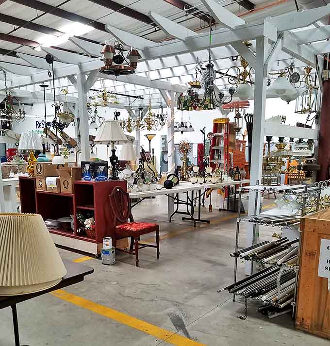 A forest of chandeliers and lamps creates a magical canopy of potential lighting solutions for every style and space.