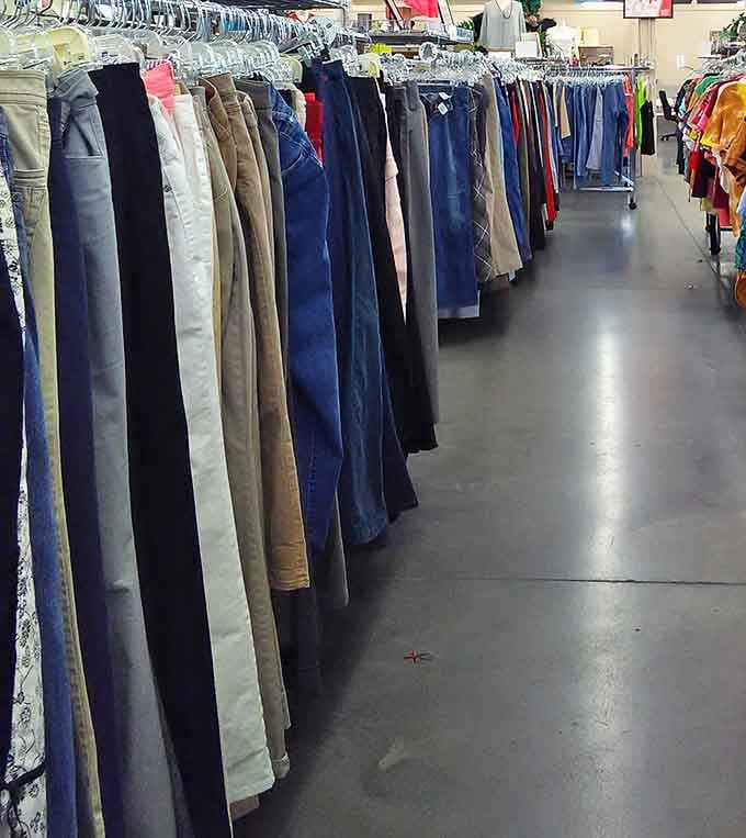 The denim rainbow stretches into infinity, promising the holy grail of thrift shopping: perfectly broken-in jeans at prices that won't break the bank.