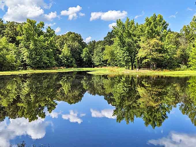 Water so still it doubles your scenery for free. Nature's two-for-one special runs daily, weather permitting.