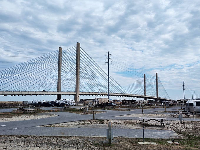 The bridge frames the landscape like nature's own postcard. Even the seagulls seem to pause mid-flight to appreciate the engineering marvel.