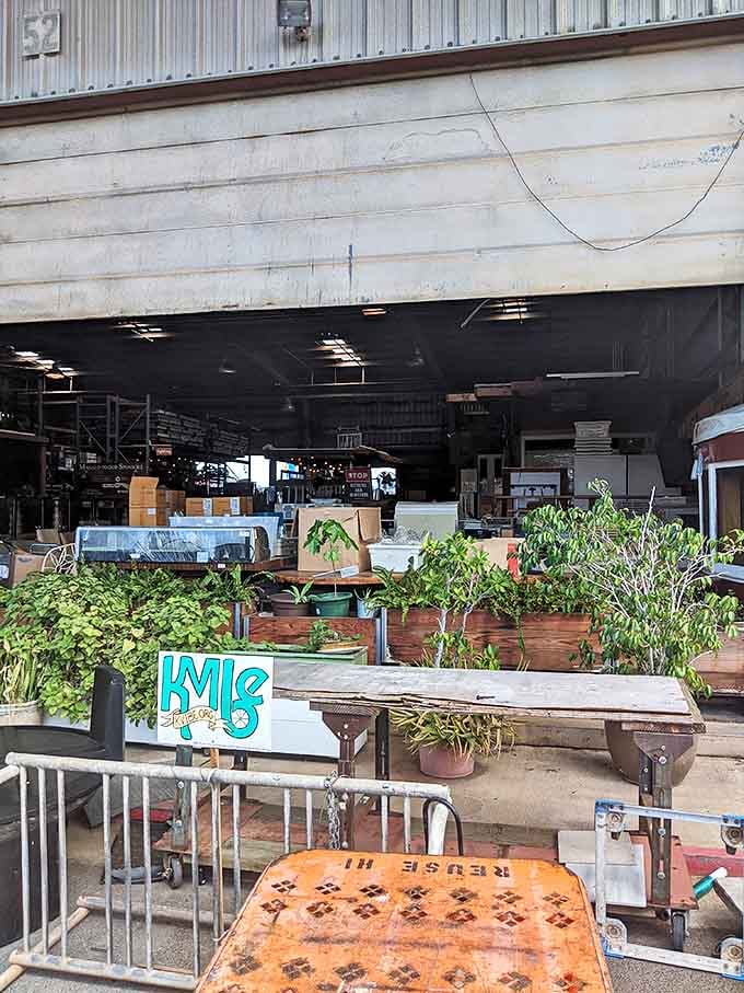 Garden treasures await among reclaimed materials&mdash;because your plants deserve planters with as much personality as they have.