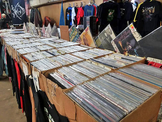 Vinyl junkies, rejoice! These crates of records hold forgotten hits and obscure gems waiting to spin tales of musical history in your living room.