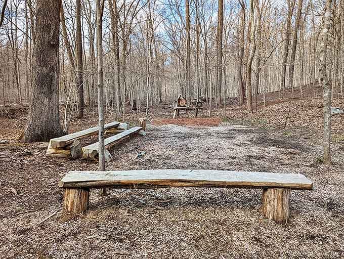 These rustic benches aren't just seating&mdash;they're front-row tickets to the greatest show on earth: absolutely nothing happening, gloriously.