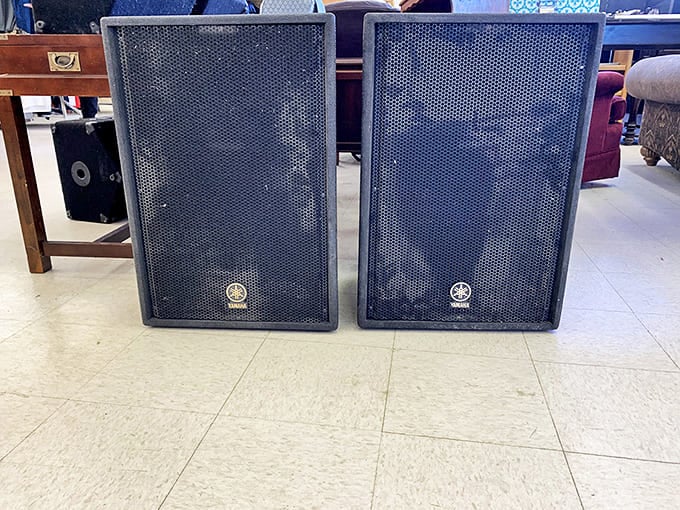 These speakers have blasted everything from Springsteen to Nirvana. For twenty bucks, they're ready to play the soundtrack to your life.