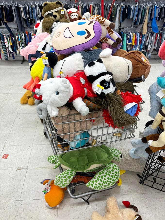 Stuffed animal heaven or adorable adoption center? This cart of plush companions proves one shopper's castoffs become another's cherished collectibles.