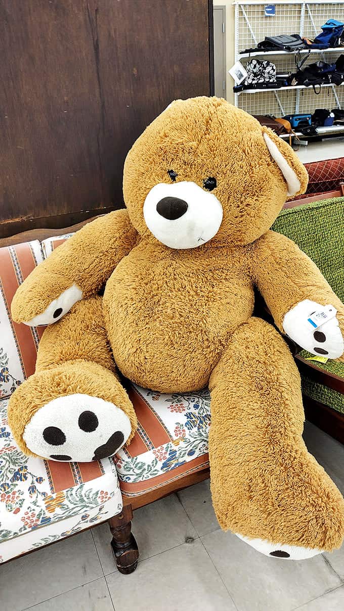 This teddy bear has seen things. Now he's ready for new adventures with a child who won't mind his slightly worn appearance.