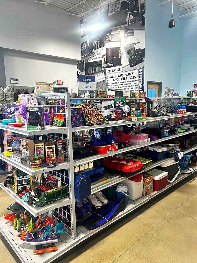 From nostalgic toys to practical housewares, these shelves hold the building blocks of budget-friendly home transformations.