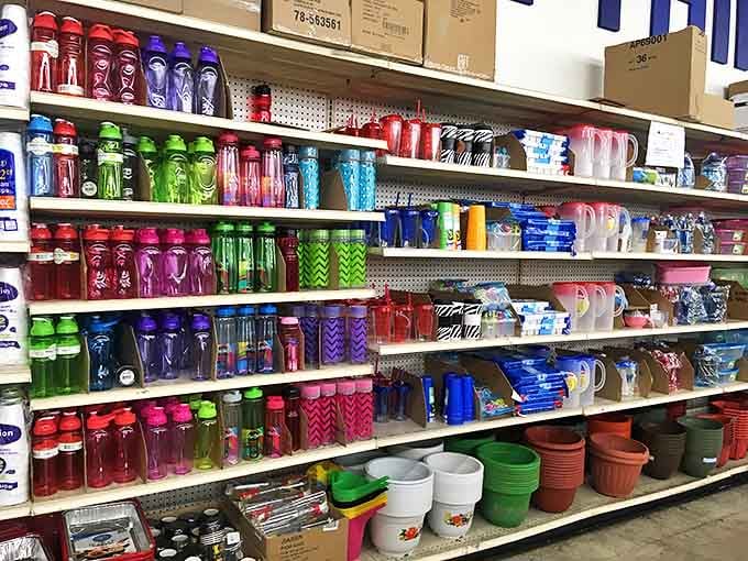 A kaleidoscope of drinkware stands at attention&mdash;a liquid rainbow promising hydration with a side of style.