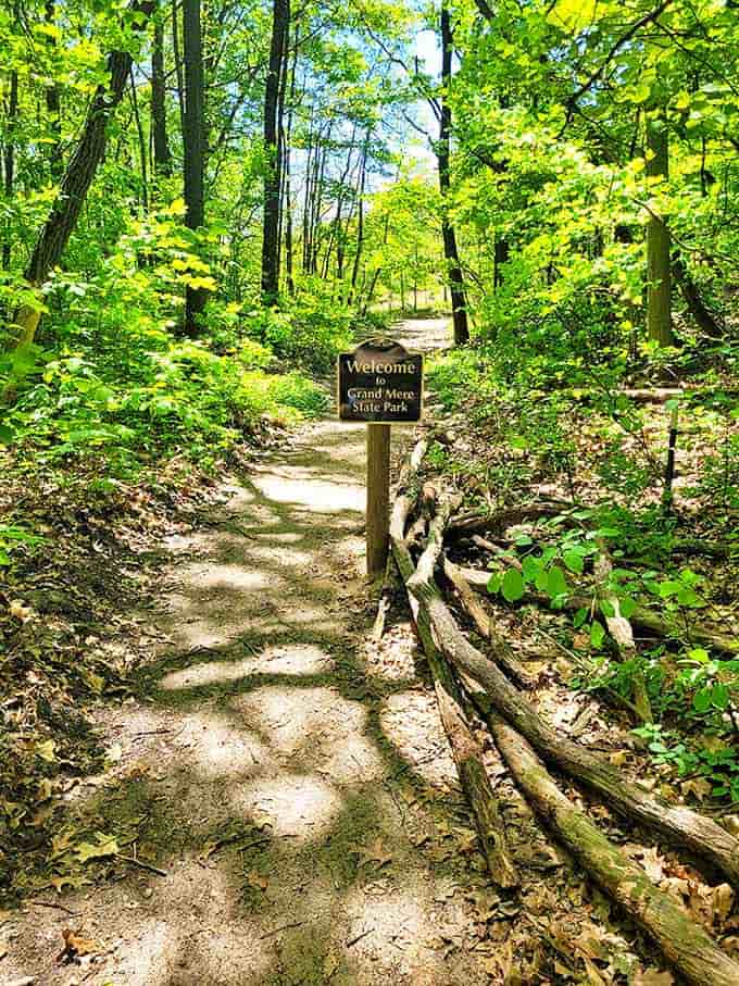 Dappled sunlight guides visitors along woodland trails. Nature's "welcome mat" feels more genuine than any resort's rehearsed greeting ever could.