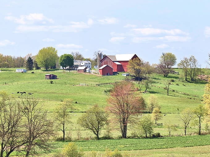 Fredericksburg's rural roads lead to discoveries that remind you why slow travel beats rushing every time.