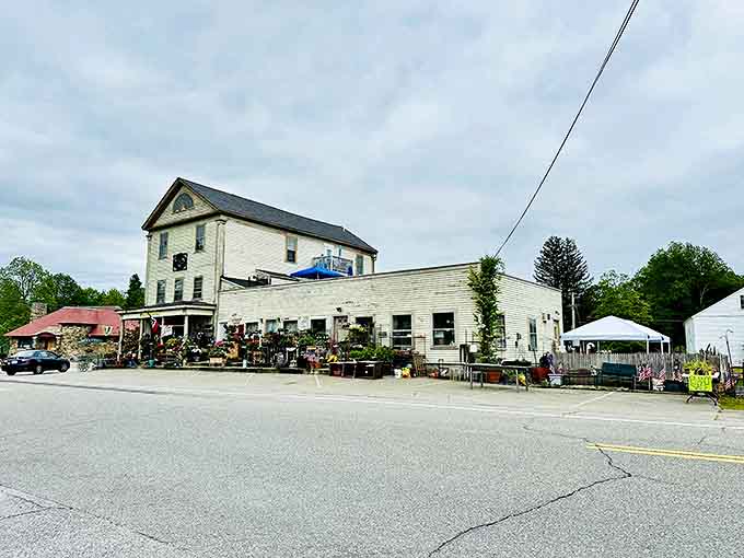 This charming country store in Kingston has probably seen more town gossip than a lifetime of Facebook scrolling.