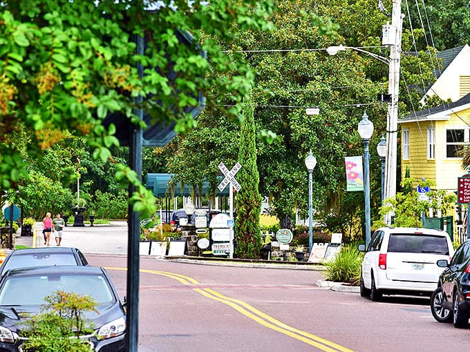 Mount Dora's tree-canopied streets create natural tunnels perfect for afternoon strolls. Where shade is nature's air conditioning!