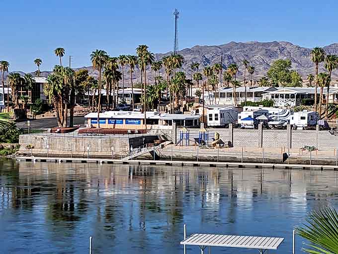 Riverside RV paradise! Palm trees sway as retirees enjoy Needles' Colorado River views, where your Social Security check stretches like the endless blue sky.