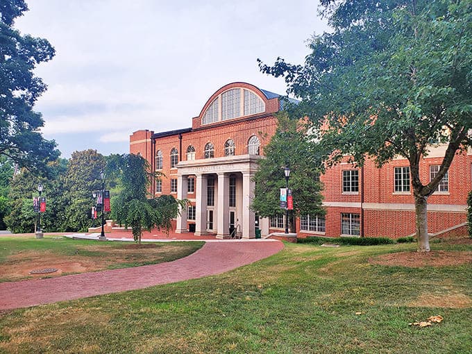 Davidson's stately college buildings stand like guardians of knowledge &ndash; where even the squirrels look like they're contemplating philosophy.
