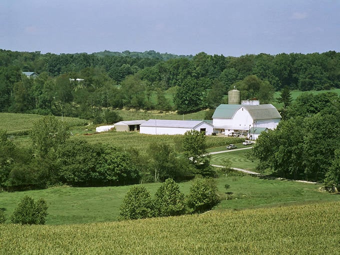 These gentle hills and working farms prove that Ohio's heartland holds treasures worth savoring and celebrating.