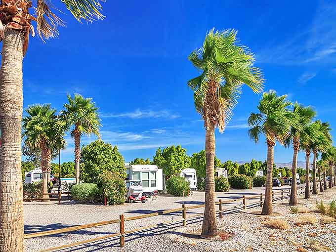 Desert oasis living at its finest. These palm-lined RV spots in Needles offer affordable retirement with nature's air conditioning&mdash;the Colorado River&mdash;just steps away.