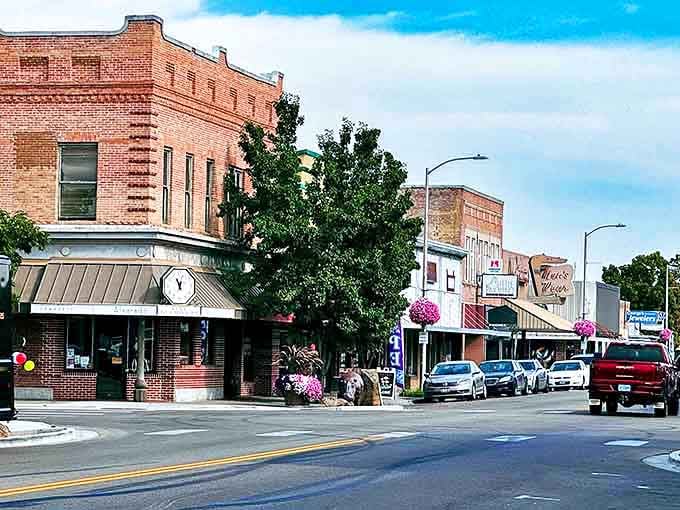 The flowering trees of Ontario's main street create a springtime spectacle that rivals any big-city botanical garden.