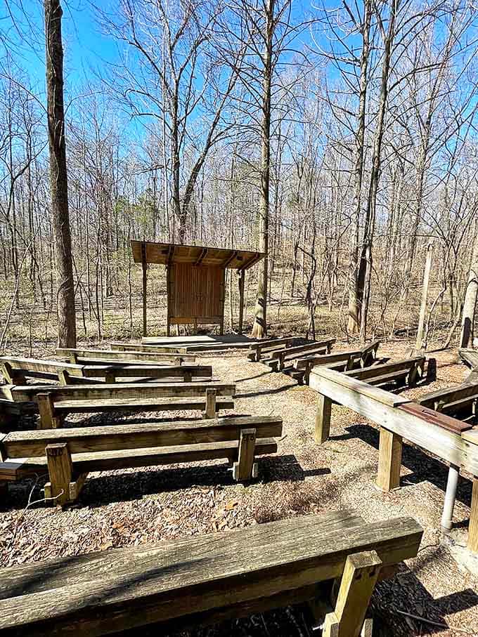 Nature's classroom awaits. This rustic amphitheater offers front-row seating to lessons more valuable than any streaming service subscription.