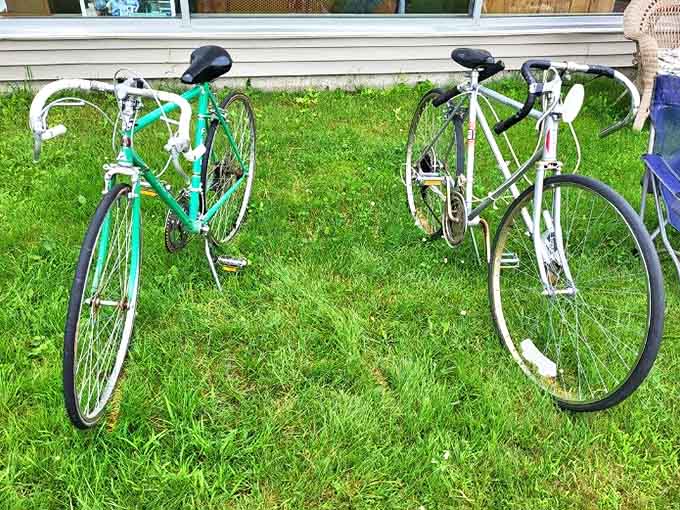 Bicycles yearning for new adventures, parked temporarily before finding their forever homes. Affordable transportation with retro appeal.