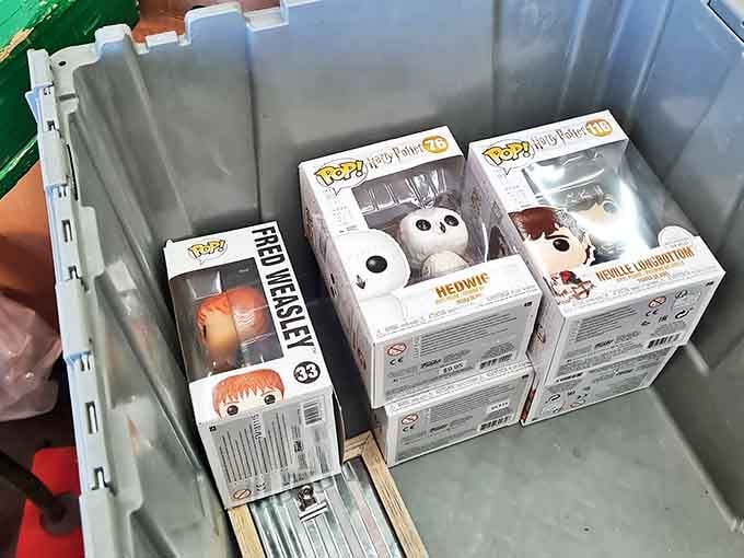 Pop culture collectibles waiting for their forever homes &ndash; proof that one person's decluttering is another's memorabilia goldmine.