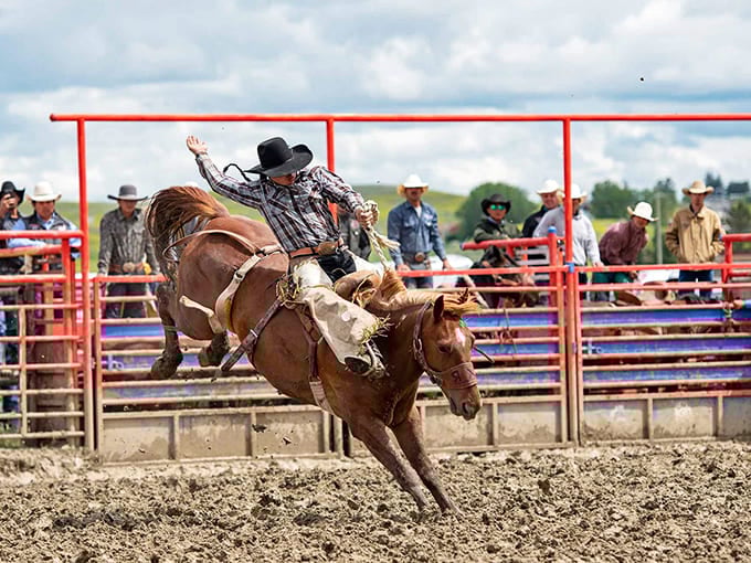 The Hardin Rodeo showcases Montana's western heritage with thrilling competitions that won't break the bank but will definitely quicken your pulse.