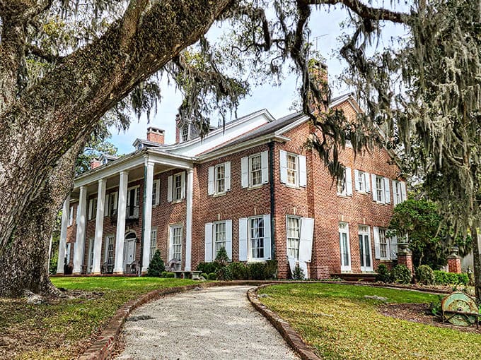 Hobcaw Barony's stately brick mansion emerges from beneath Spanish moss like a Southern belle making her grand entrance at the season's first ball.