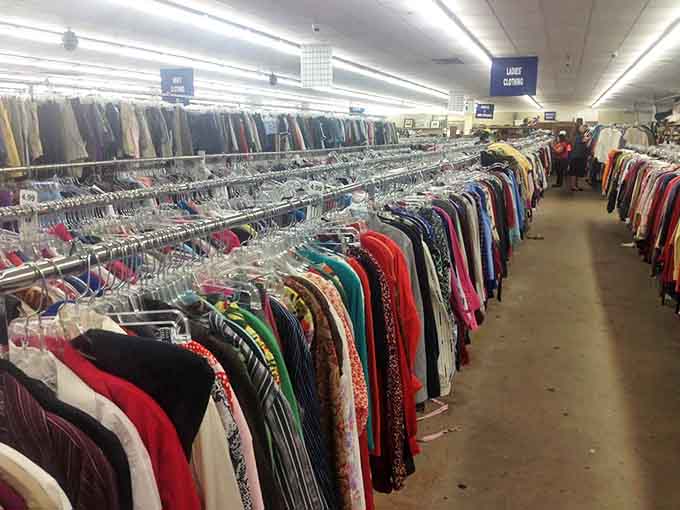 The clothing forest stretches to the horizon. Each rack a different expedition, each hanger a potential wardrobe revolution waiting to happen.