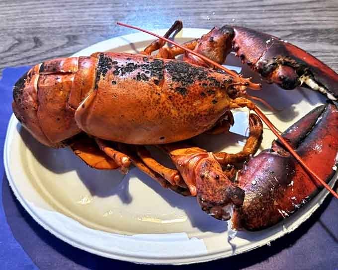 The king of the sea, presented with the respect it deserves. This lobster didn't give its life for nothing &ndash; it's the star of the show.