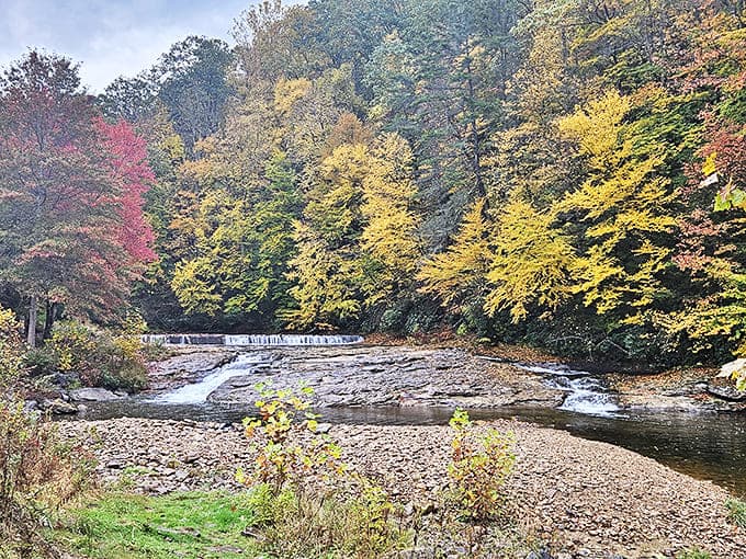 Rudolph Falls cascades with the enthusiasm of a child discovering ice cream, framed by trees that have witnessed centuries of selfie-free appreciation.