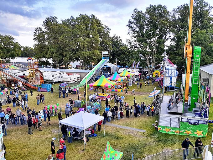 The Siskiyou Golden Fair transforms Yreka into a carnival of community joy, where cotton candy and Ferris wheels create memories that outlast summer.