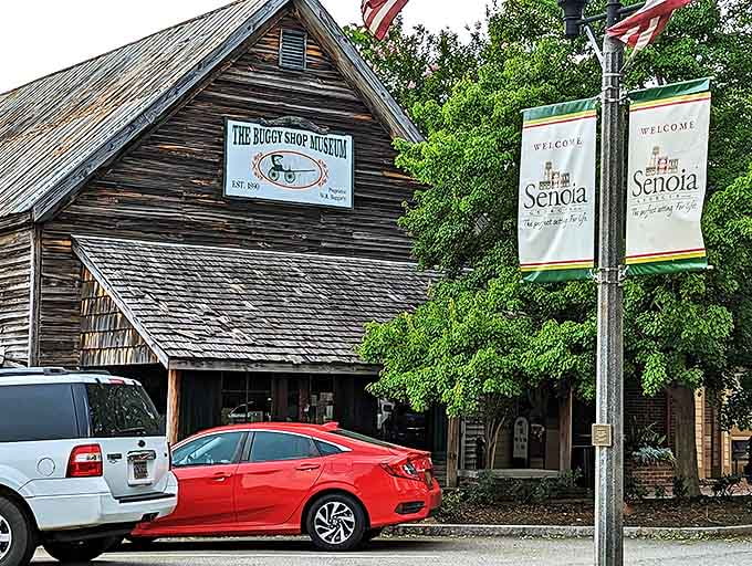 The Buggy Shop Museum stands as a weathered wooden testament to Senoia's transportation history, drawing curious visitors year-round.