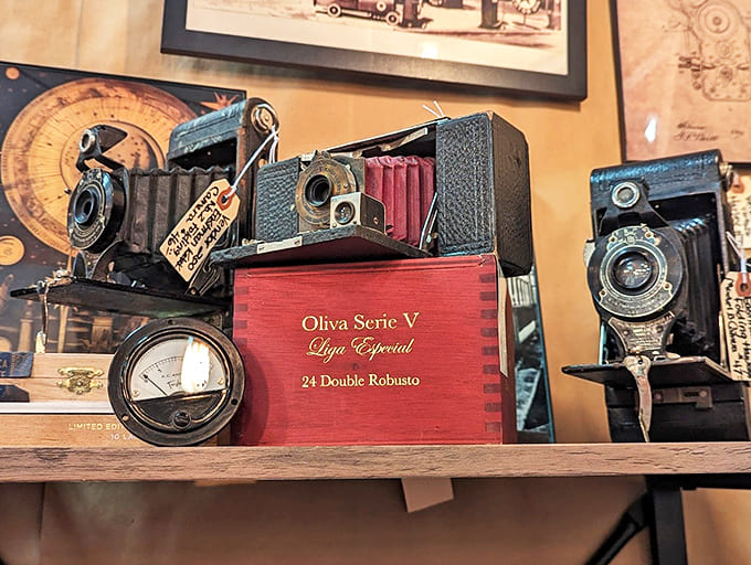 Vintage cameras that captured someone's wedding day or baby's first steps now sit in retirement. That cigar box has been repurposed for a more photogenic life.