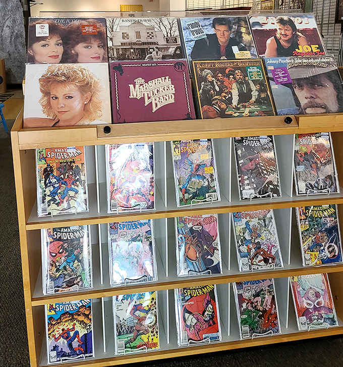 Vinyl records and vintage comics create a time-travel experience for collectors seeking treasures from decades past.