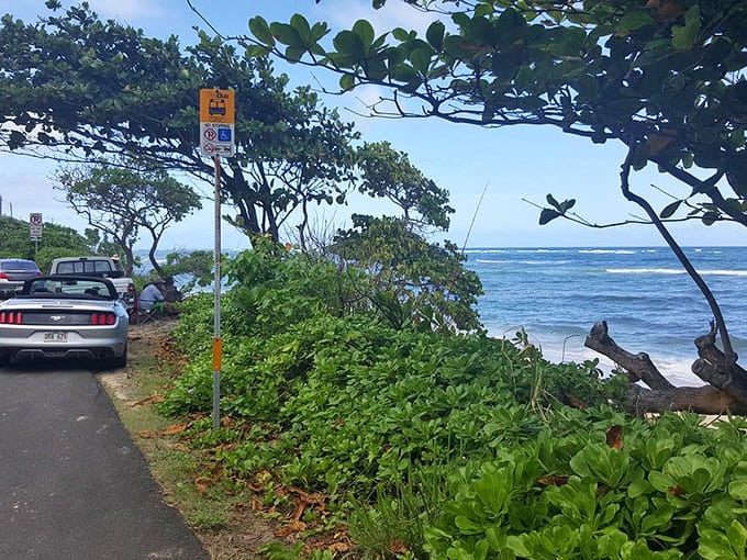Pull-offs like this one invite you to pause your journey and let the ocean views wash away mainland stress like tide removing footprints.